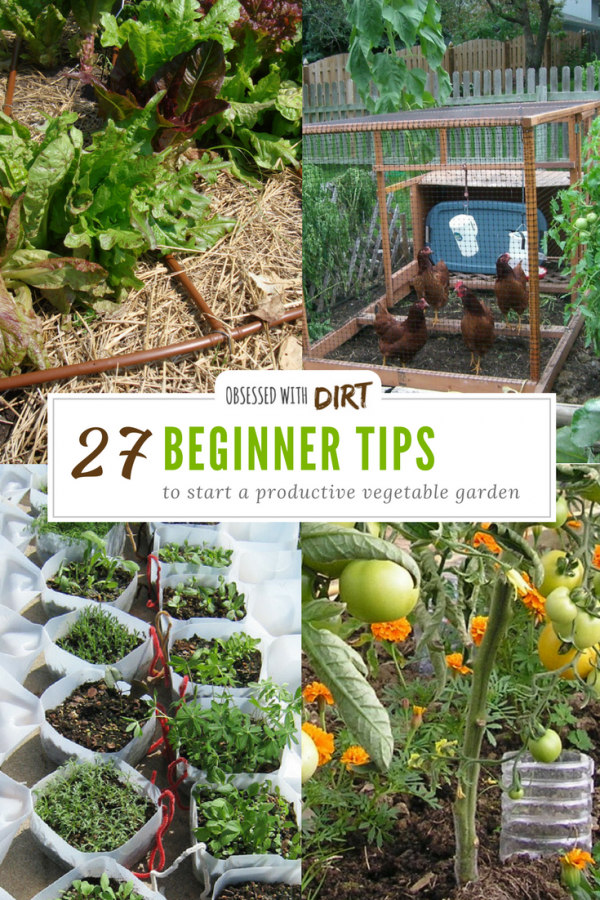 27 Tips For Beginner Vegetable Gardeners To Grow More Food