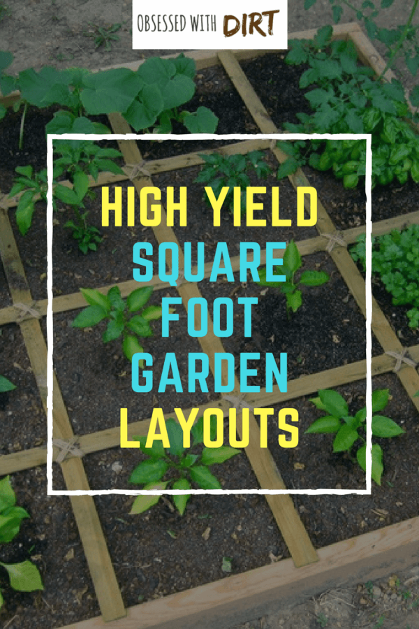 Square Foot Gardening: How To Plan Your New Vegetable Garden