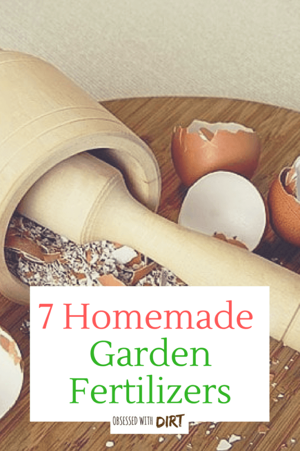 5 Of The World's Best Homemade Vegetable Garden Fertilizers