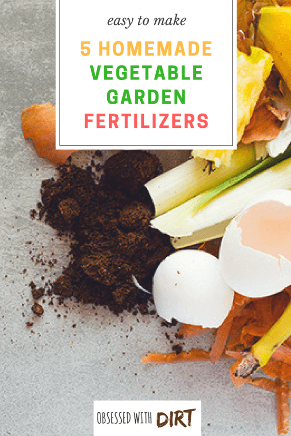 5 Of The World's Best Homemade Vegetable Garden Fertilizers