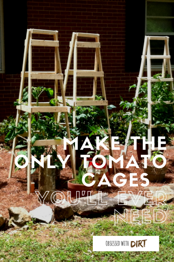 10 Cheap and Easy DIY Tomato Cages - Gardeners' Magazine